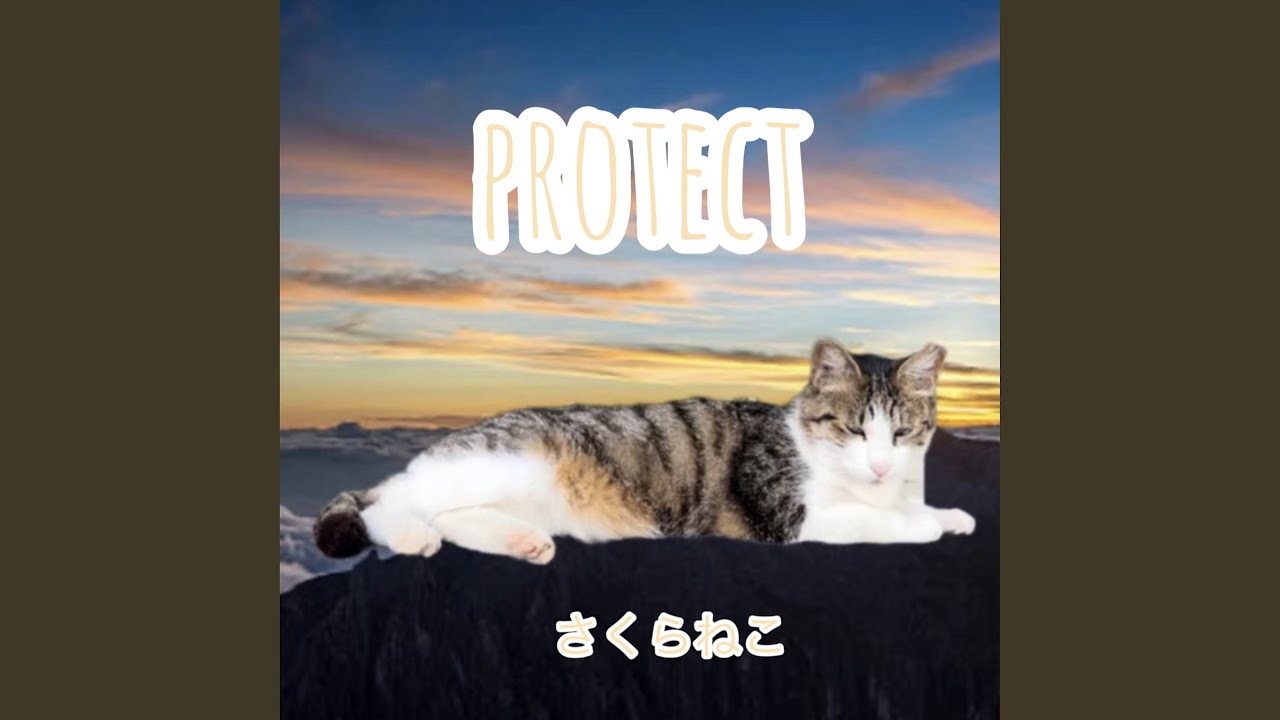 Protect - YouTube