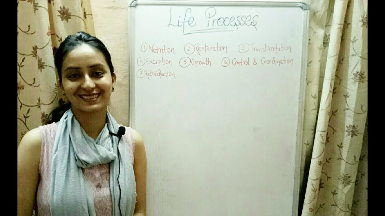 Introduction to Life Processes | Biology Class 10 | Lecture 16 - YouTube