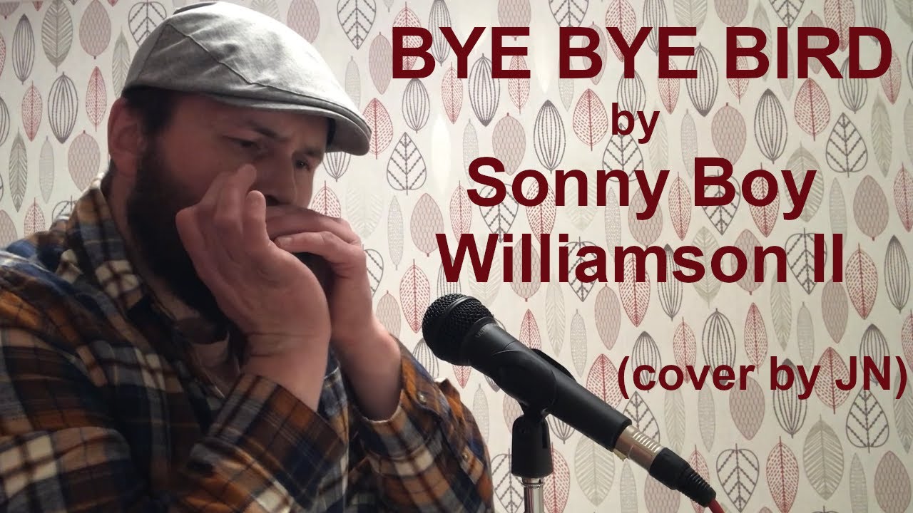 Bye Bye Bird | Sonny Boy Williamson II cover - YouTube
