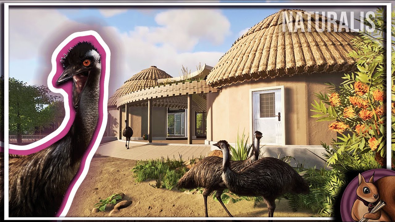 Emu Habitat | Planet Zoo Speedbuild | Naturalis Ep. 44 - YouTube