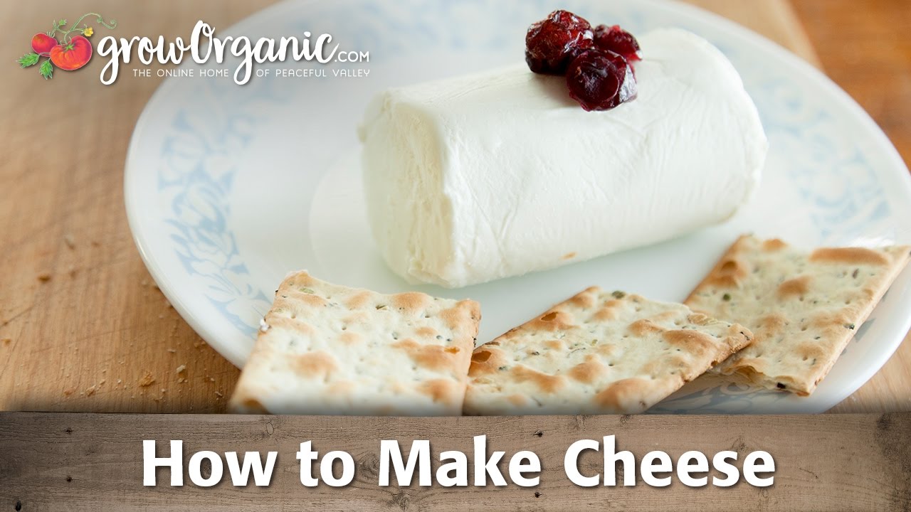 How to Make Organic Cheese at Home - YouTube