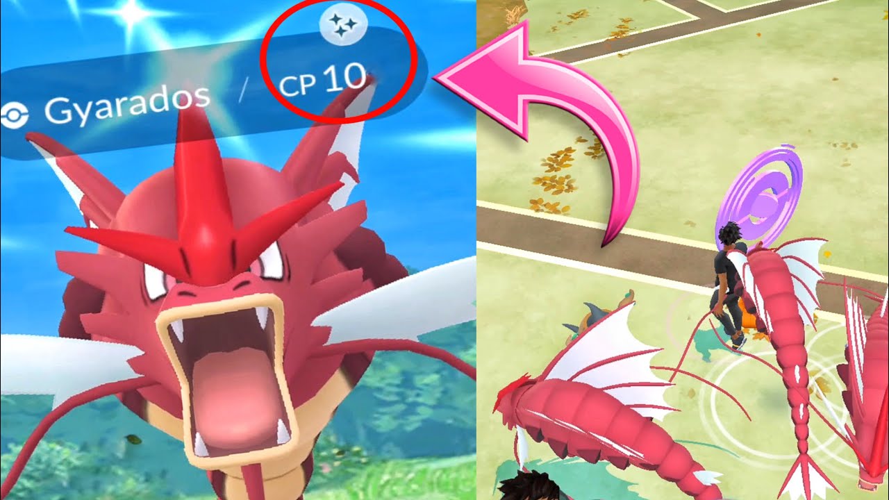 OMG!! Shiny Mega Gyarados Spawn in Wild in Pokemon go. - YouTube