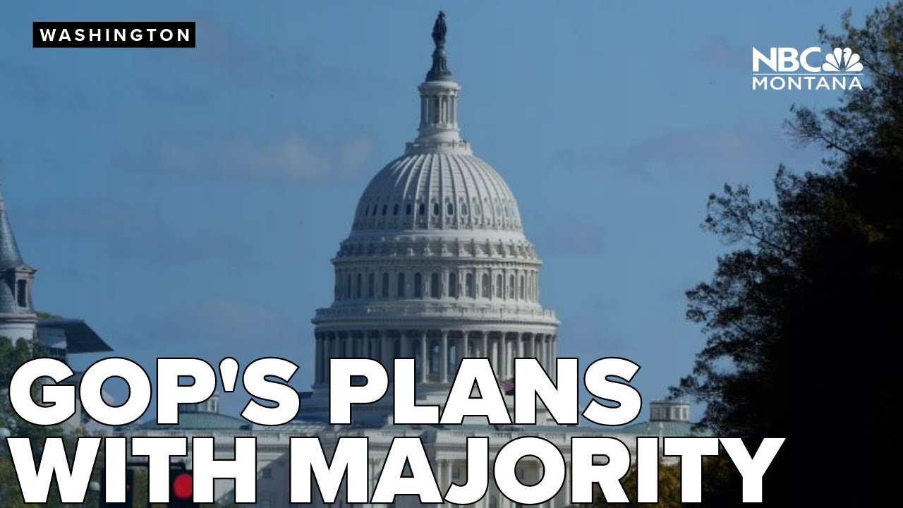 How will Republicans capitalize on congressional majority? - YouTube
