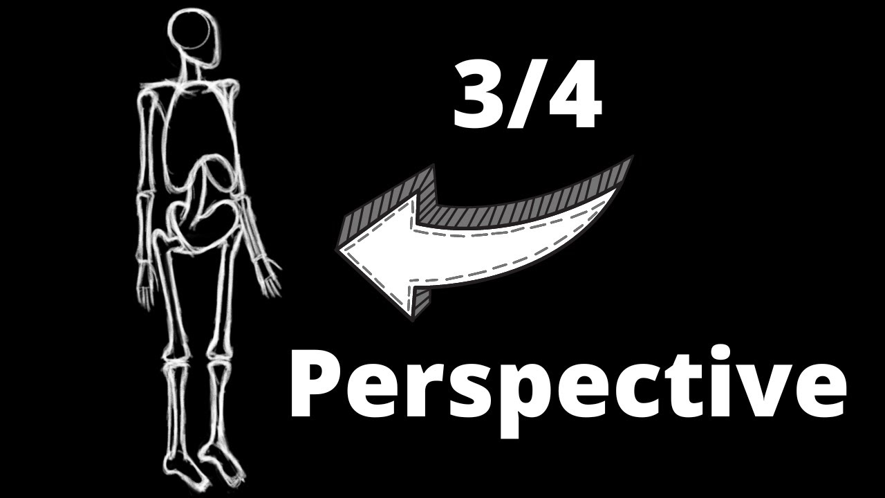 How to Draw the Skeleton in a 3/4 Perspective - YouTube