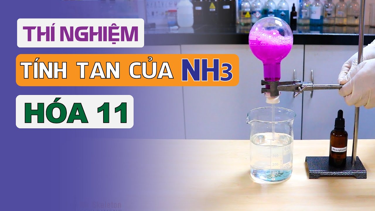 Tính tan của Ammonia NH3 🧪 📚 Mr. Skeleton Thí Nghiệm - YouTube