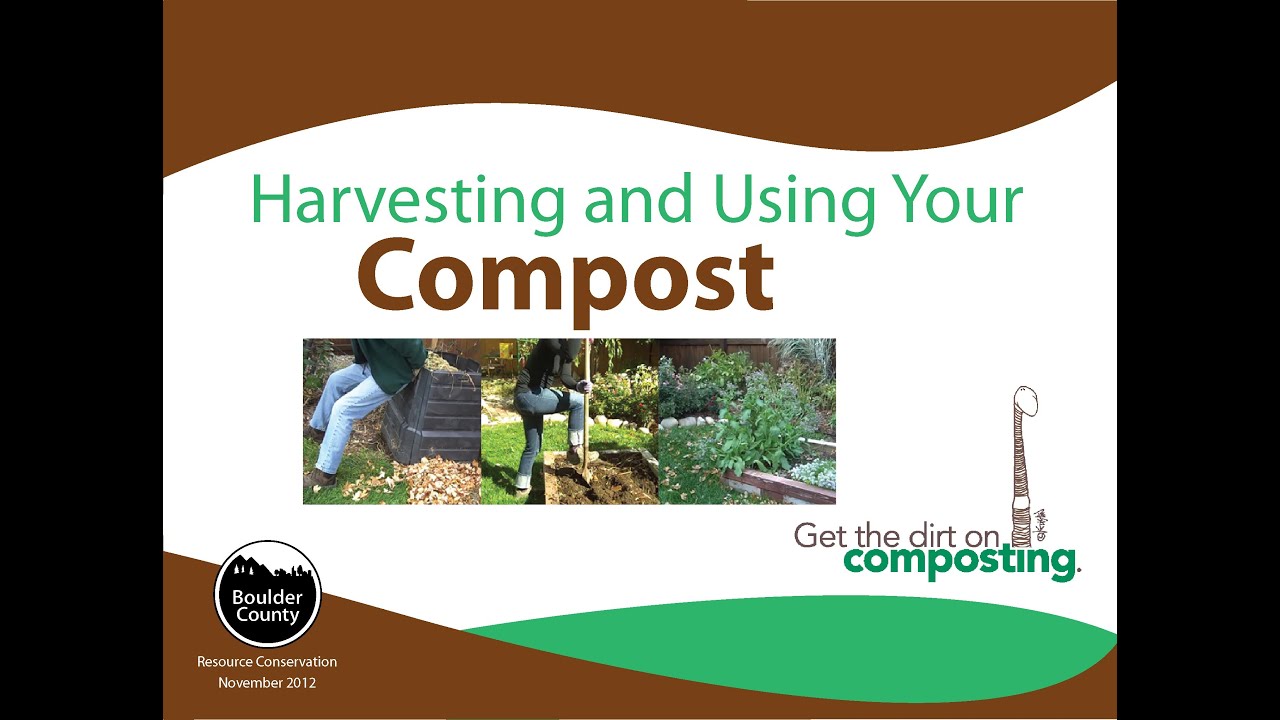 Harvesting and Using Your Compost - YouTube