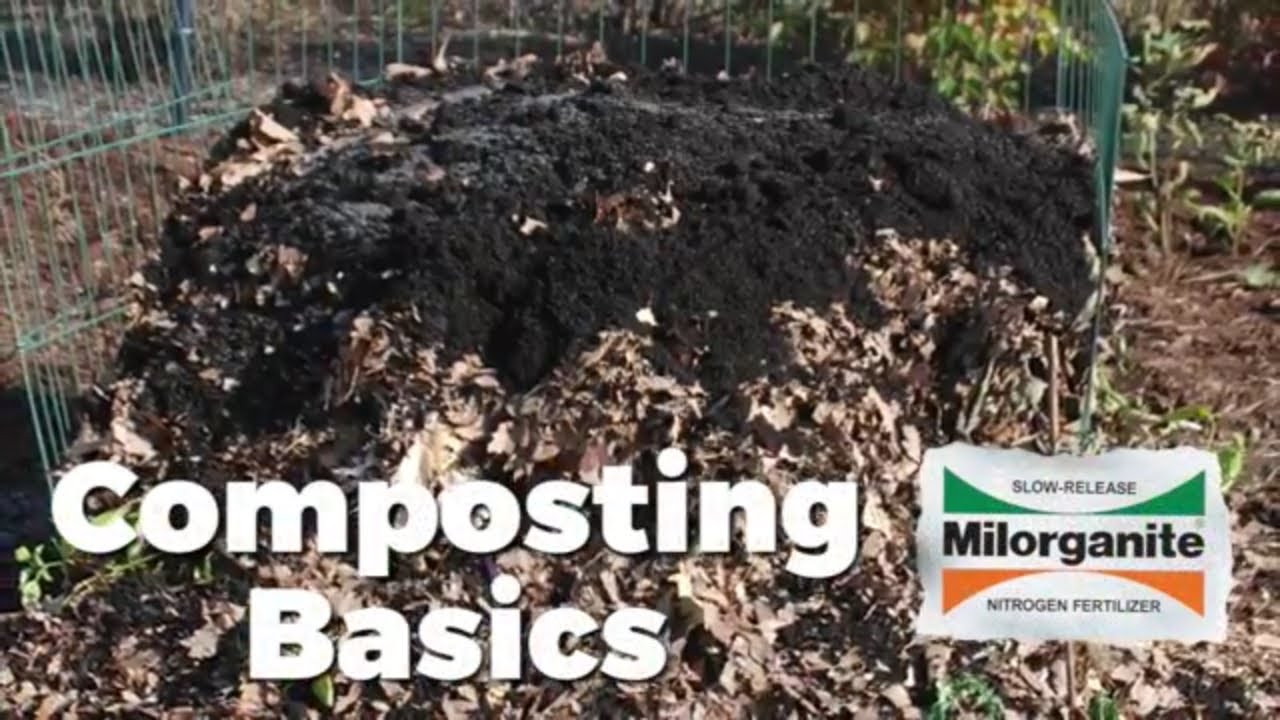 How to Start Making Your Own Compost - YouTube