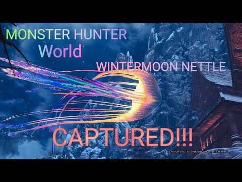 Monster Hunter: World™*Wintermoon Nettle Caught - YouTube