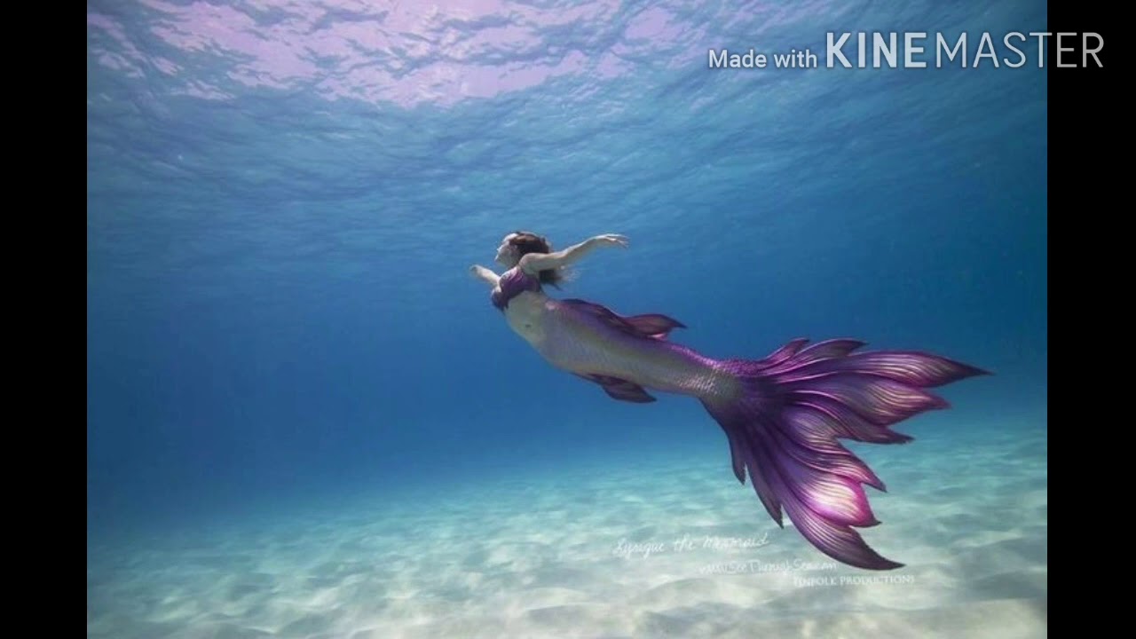 become a mermaid subliminal English - YouTube