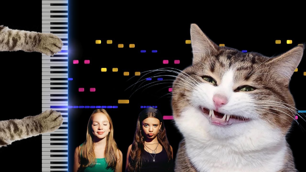 BETSY - SIGMA BOY (cat meow cover) - YouTube