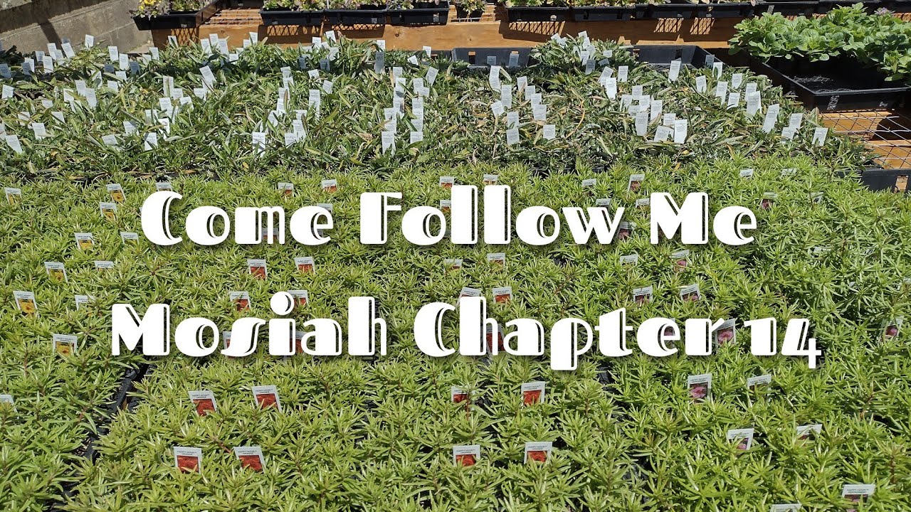 CFM The Book of Mormon: Mosiah Chapter 14 & General Conference Goals ...