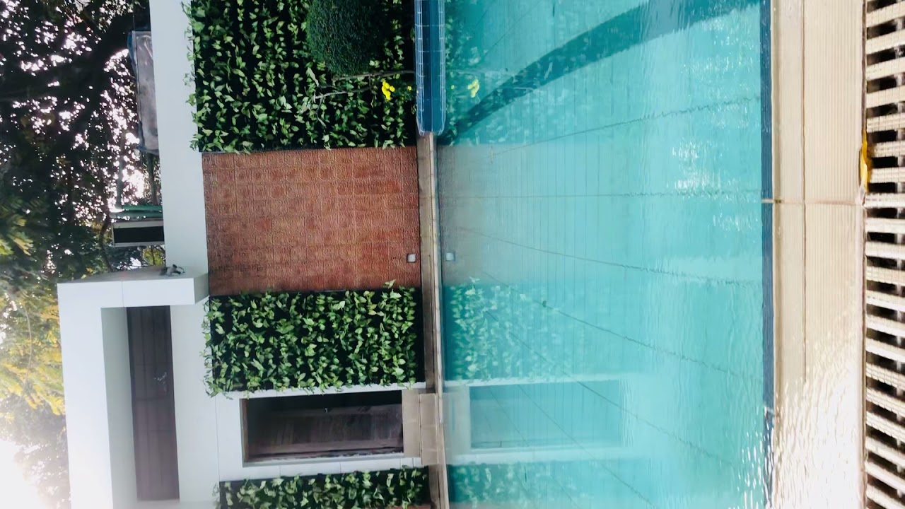 Vertical Bio Wall Implemented by Green Empire - YouTube