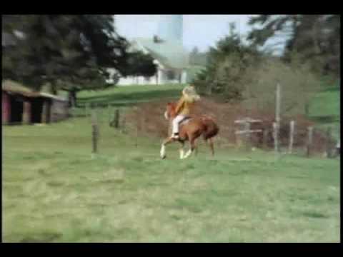 Joann Riding - YouTube
