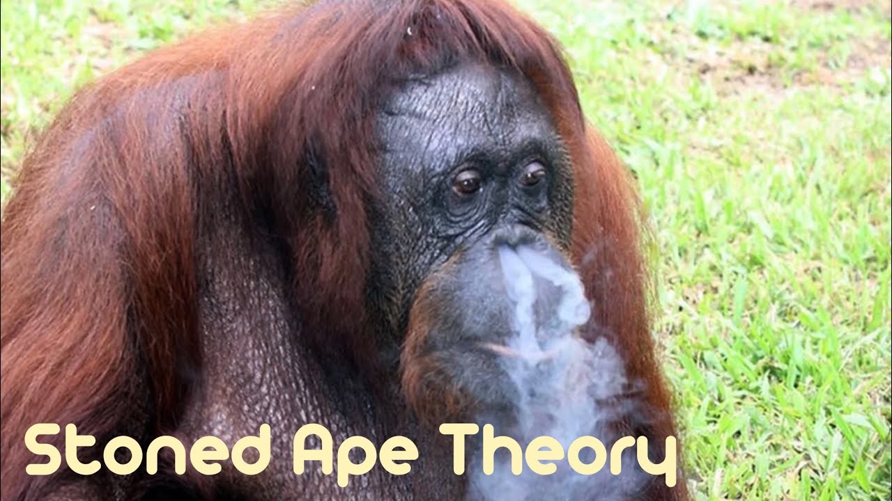 Stoned Ape Theory - YouTube