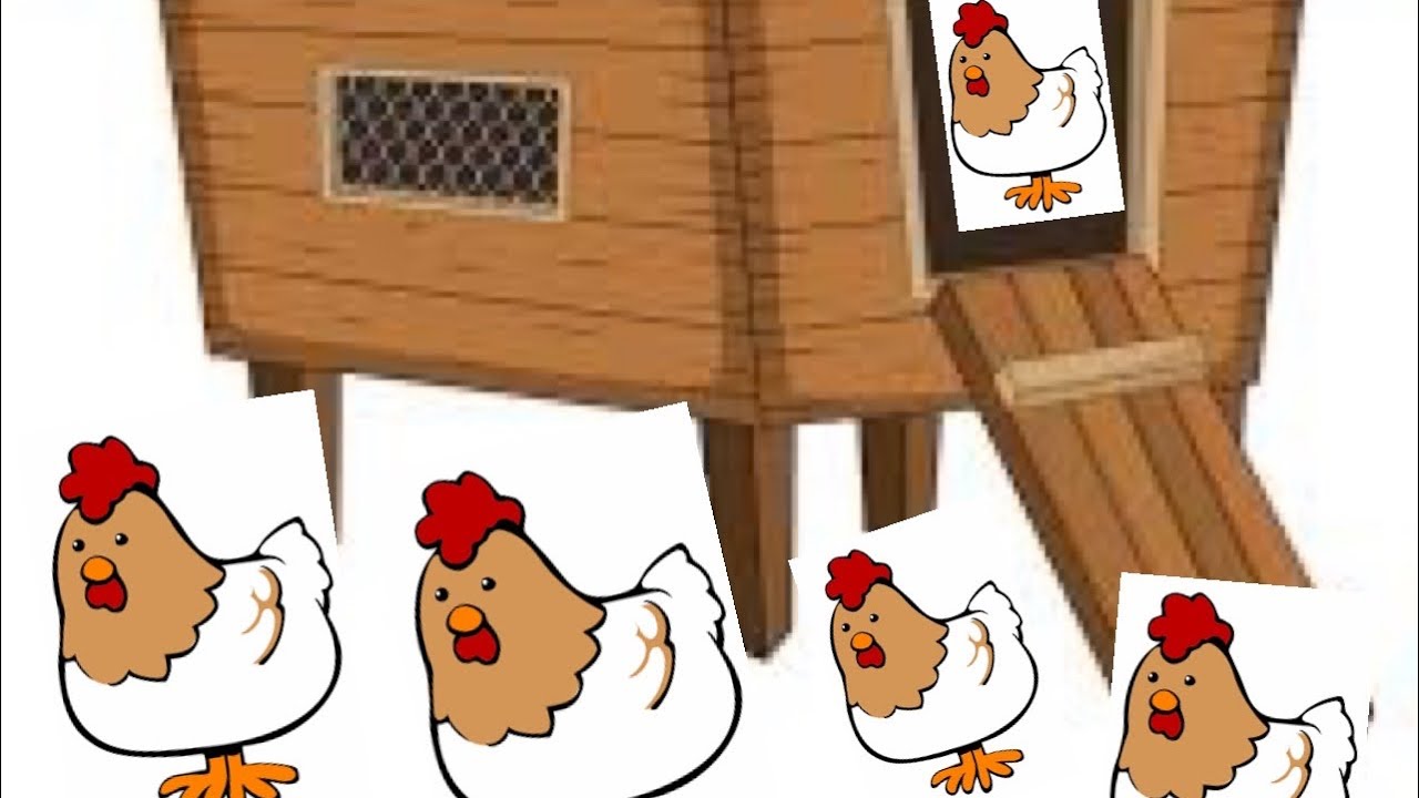 The chicken coup! - YouTube