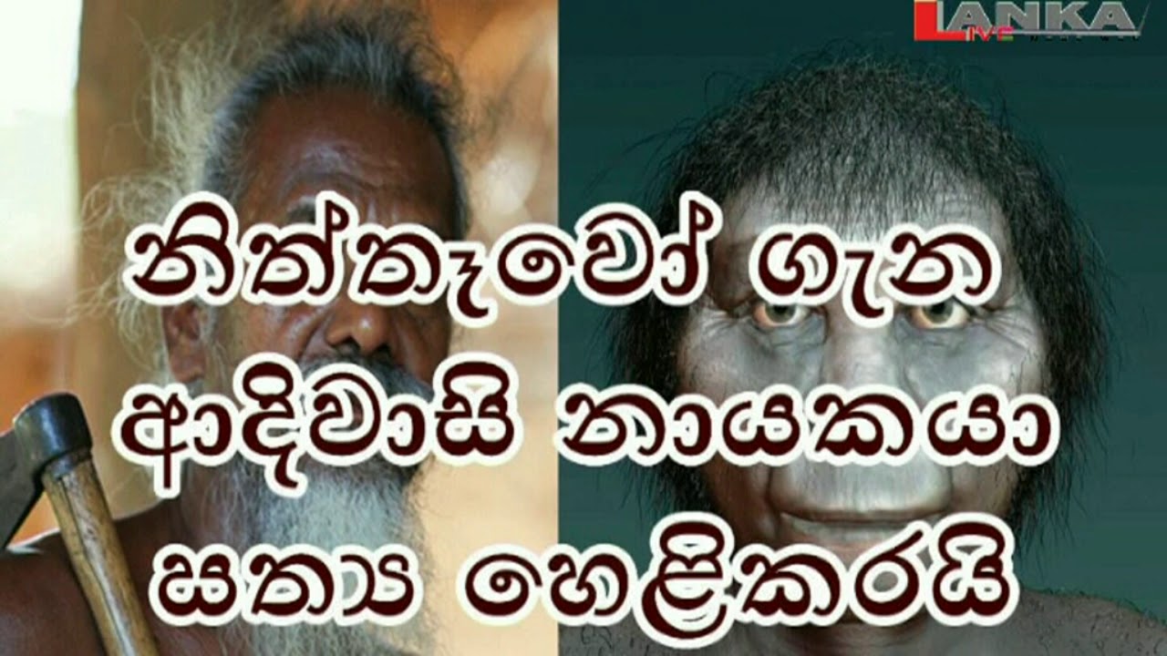 නිත්තෑවෝ ගැන ආදිවාසි නායකයා සත්‍ය හෙළිකරයි - Nittaewo sri lanka - YouTube