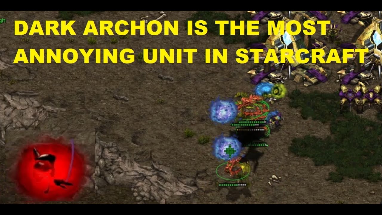 DARK ARCHON IS THE MOST ANNOYING UNIT IN STARCRAFT - YouTube
