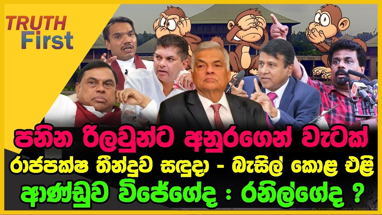 පනින රිලවුන්ට අනුරගෙන් වැටක් රාජපක්ෂ තීන්දුව සඳුදා - බැසිල් කොළ එළි ...