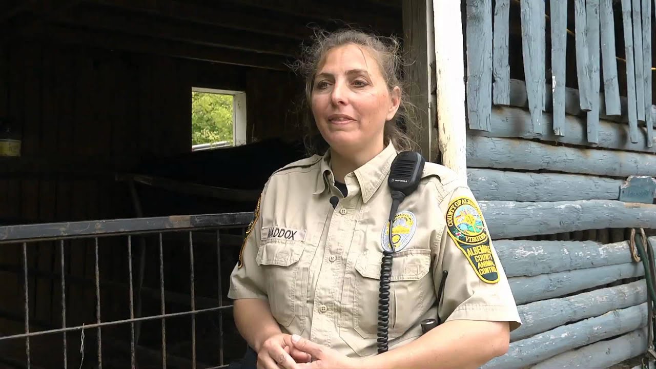 ACPD Rebrand FINAL 2 - YouTube