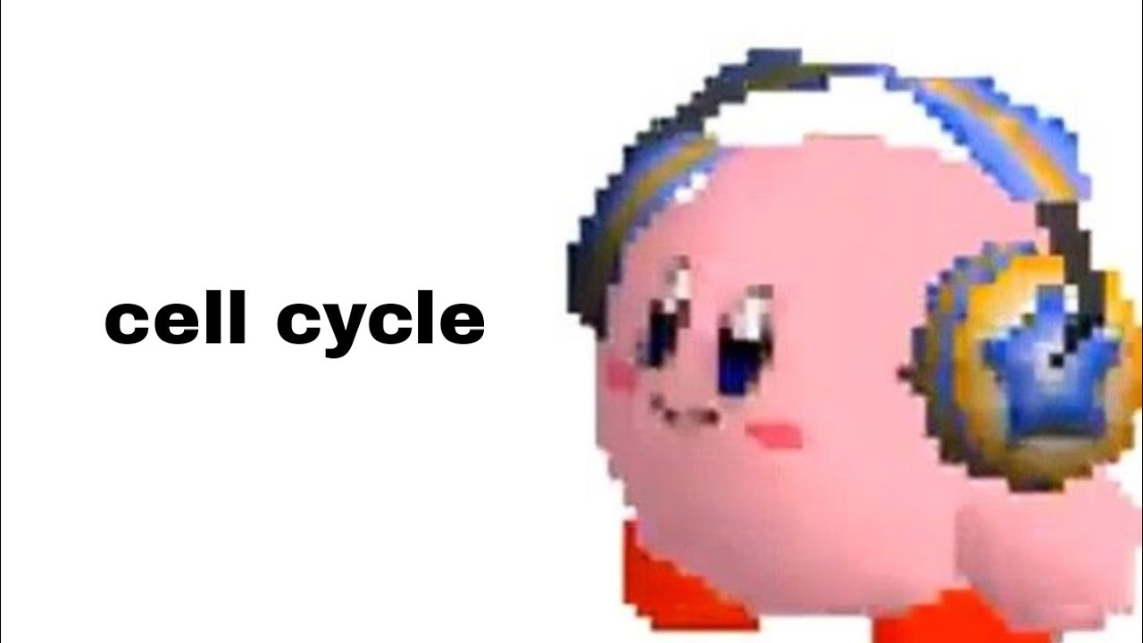 KIRBY CELL CYCLE ☆ - YouTube