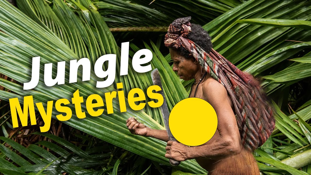 The Tree Houses Of The Korowai Tribe: Riskiest Houses In The World ...