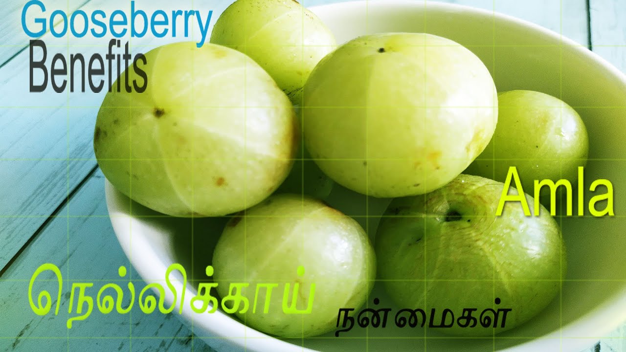 Gooseberry Benefits | Raw Gooseberry Recipe | நெல்லிக்காய் நன்மைகள் ...