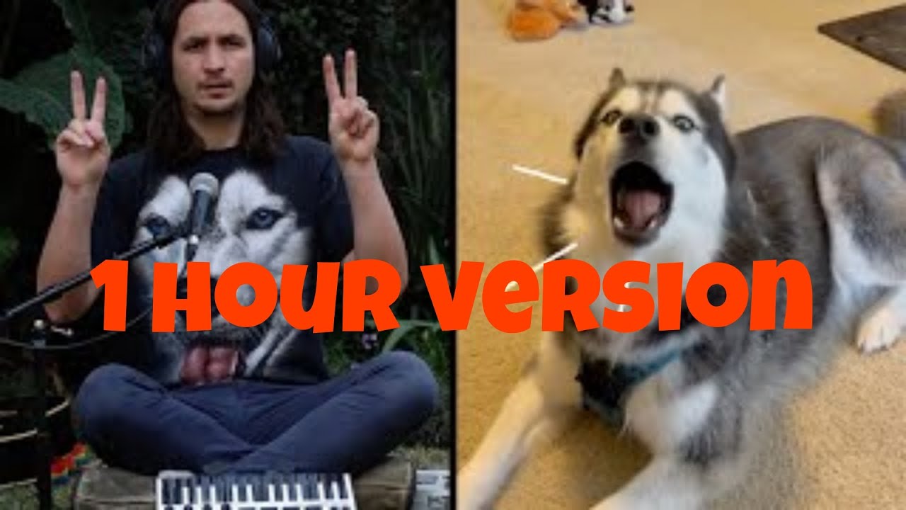 The Kiffness X Haiku The Husky - Ancient Husky Melody (1 HOUR VERSION ...