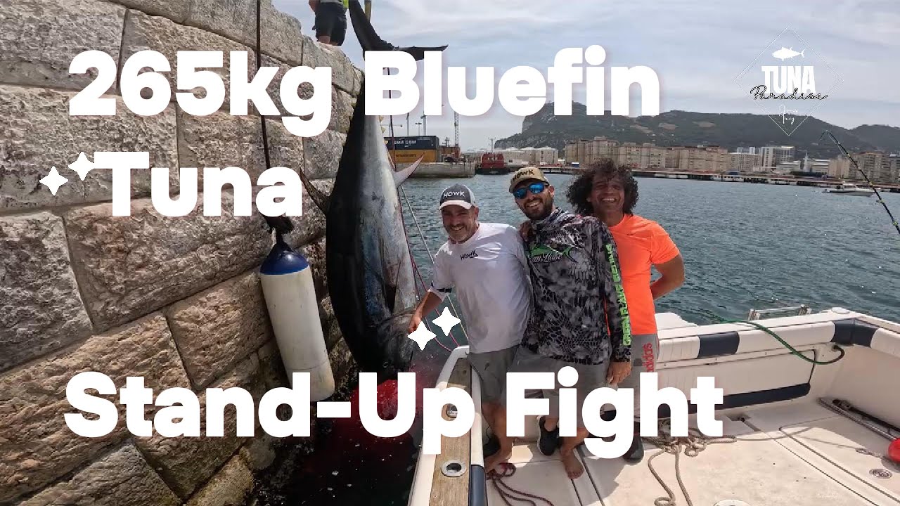 265kg Bluefin Tuna by Fali.His first ever giant and first time on stand ...