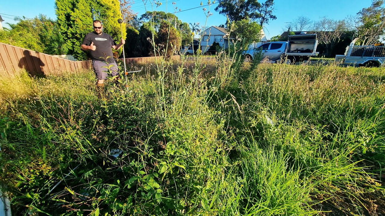 I TOOK ON this CRAZY MOWING Job As The Local Lawn Contractor WOULDN’T ...