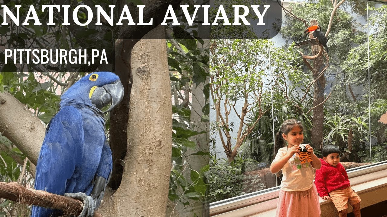 Exploring the National Aviary in Pittsburgh, Pennsylvania: Incredible ...