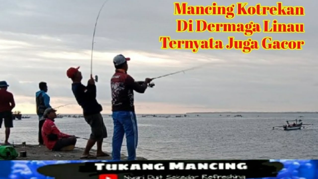 Mancing Kotrekan Di Dermaga Linau Ternyata Juga Gacor ...