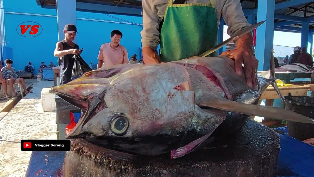 Keterampilan Luar biasa Memotong ikan Tuna Segar untuk Warung Makan ...