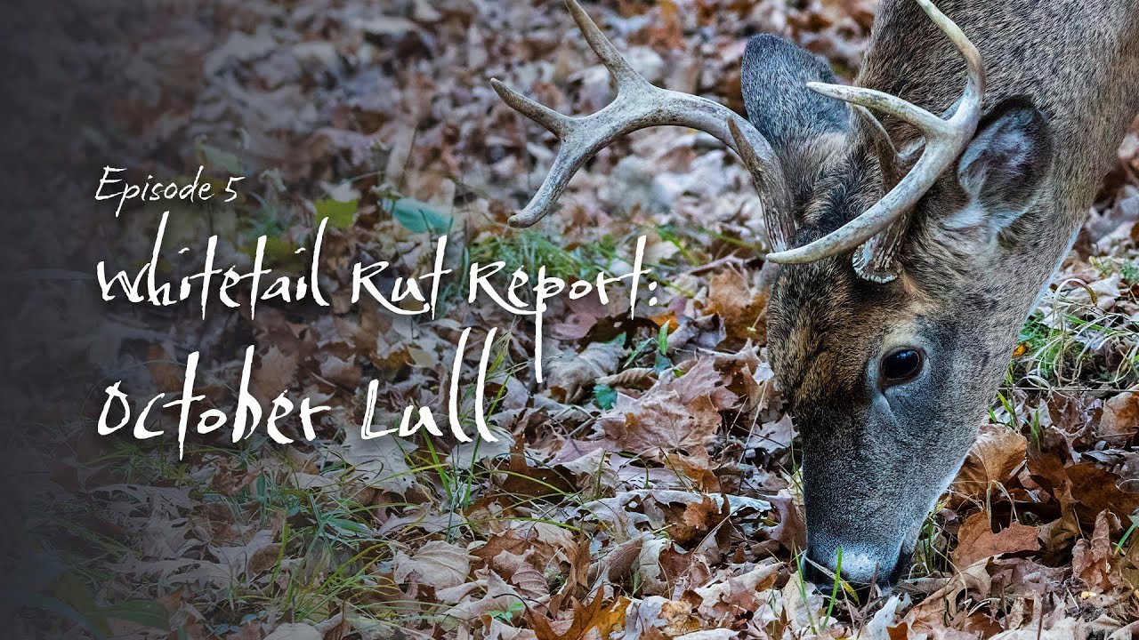 Rut Report Ep5: October Lull - YouTube