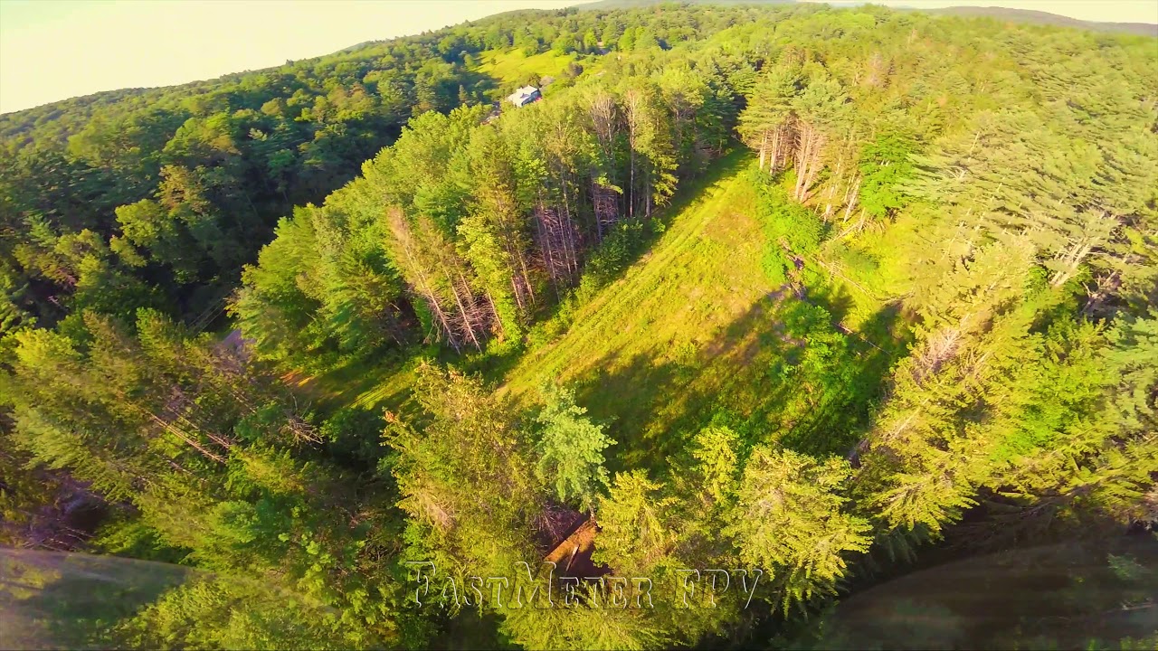 Pine Stand - YouTube
