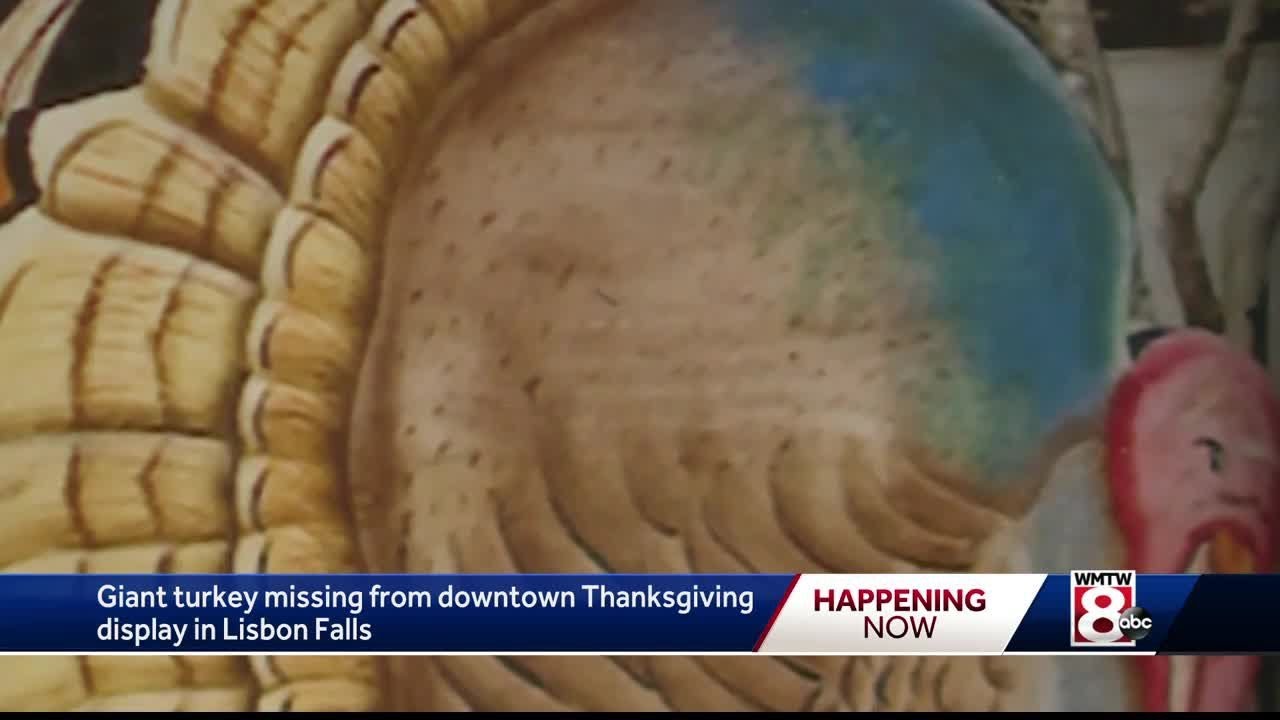 On the hunt for a missing turkey in Lisbon Falls - YouTube