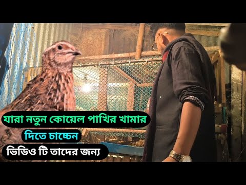 আমার শখের কোয়েল পাখির খামার। quail farm.koyel pakhir khamar. কোয়েল পাখি পালন পদ্ধতি। - YouTube