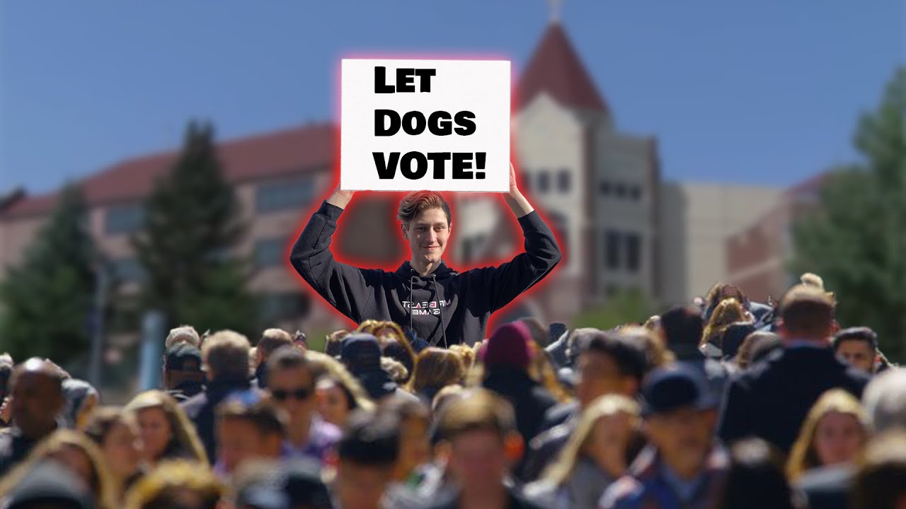 Dogs Should Vote - I Got People To Sign Ridiculous Petitions - YouTube