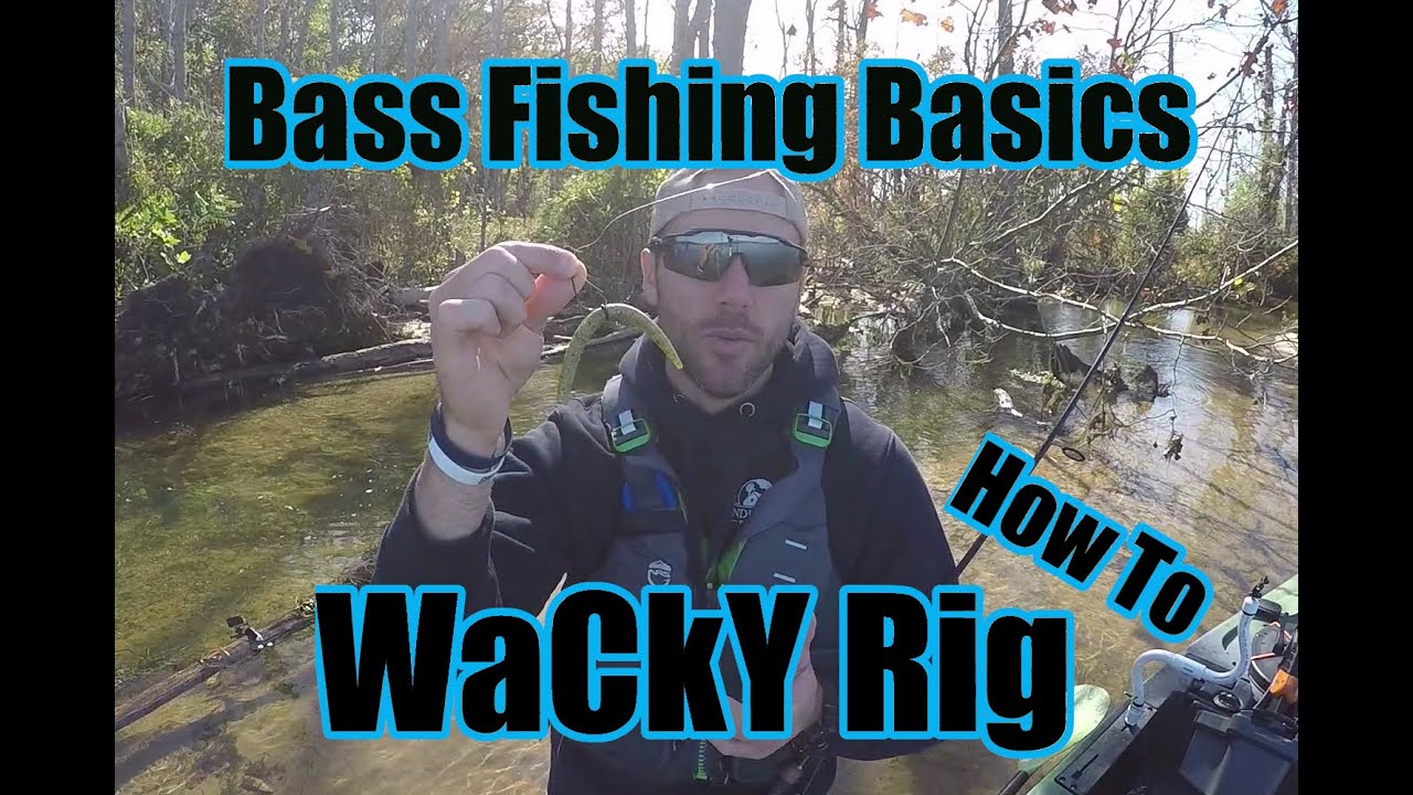 How to WaCkY RiG || Bass Fishing Basics || Underwater Footage - YouTube