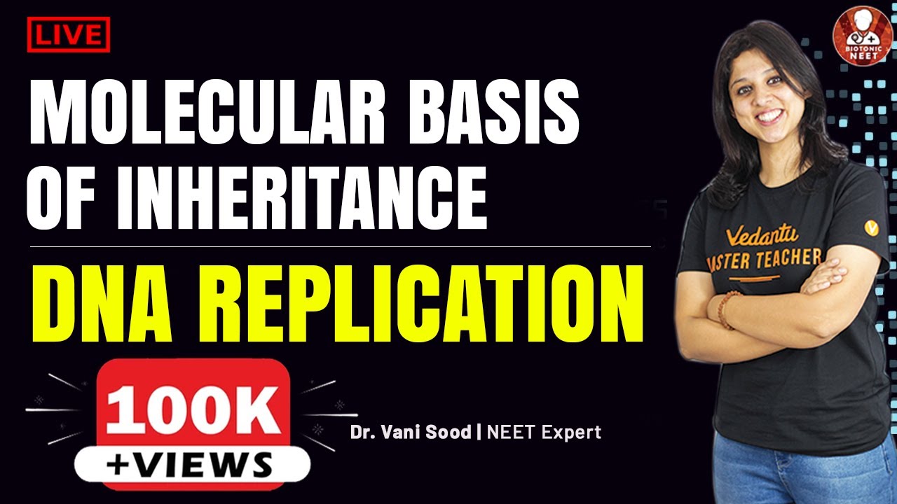 DNA Replication | MOLECULAR BASIS OF INHERITANCE Class 12 | CBSE ...