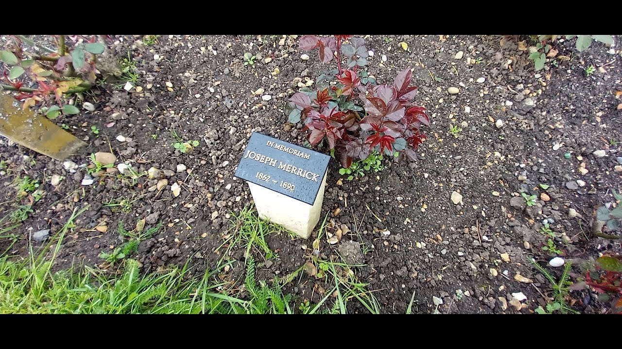 Joseph Merrick, The Elephant Man's Grave City Of London Cemetery - YouTube