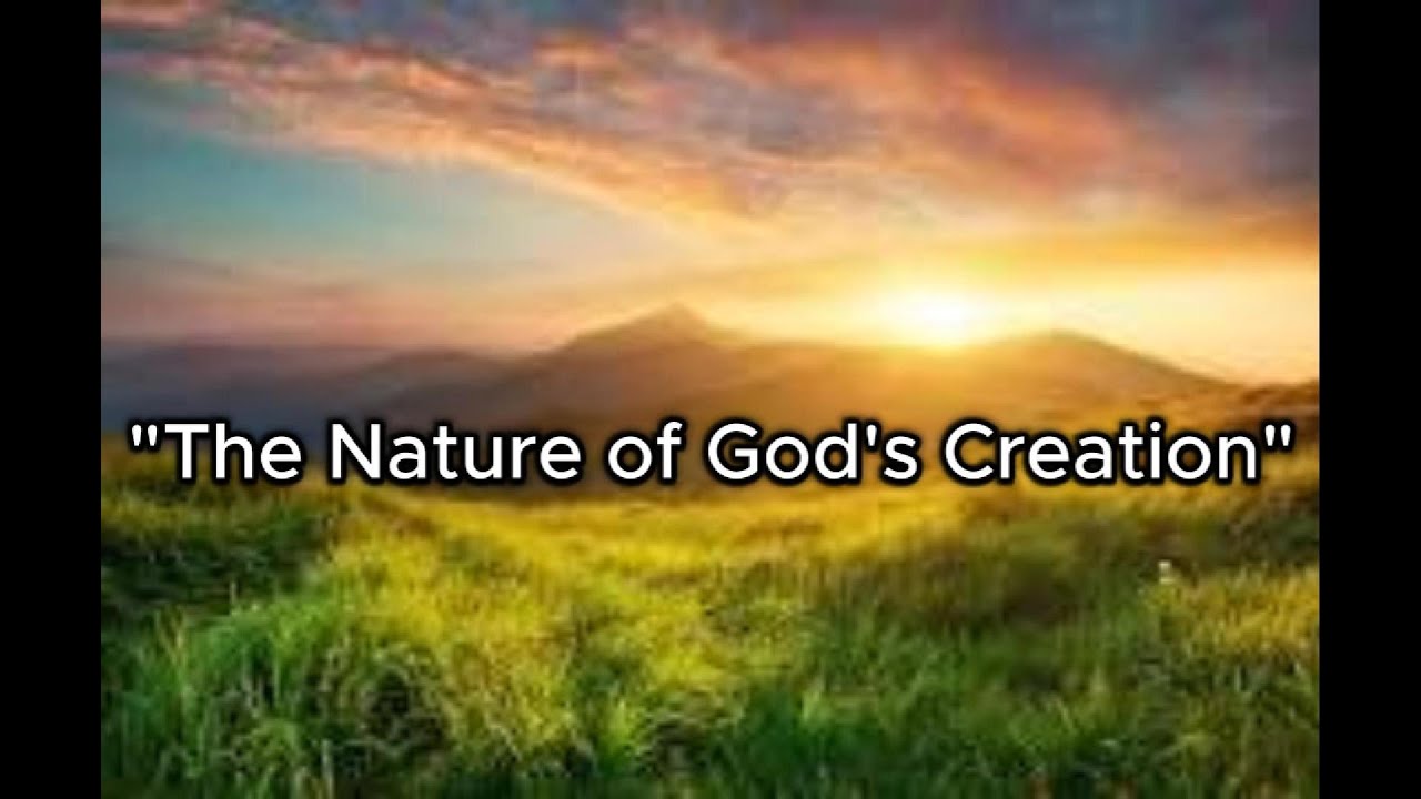 " THE NATURE OF GOD"S CREATION" - YouTube