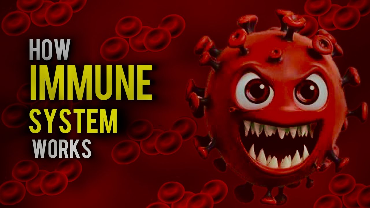 What Is The Immune System | How It Actually Works ? - YouTube
