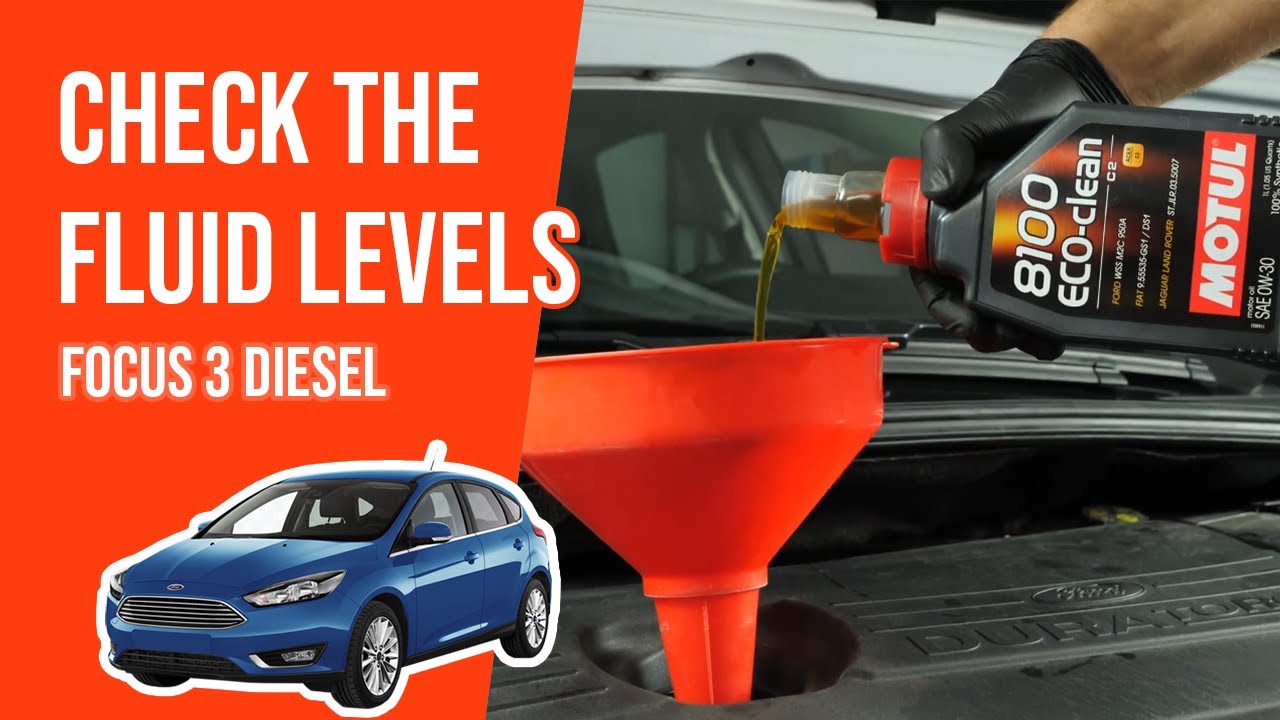 How to check the fluid levels Focus mk3 1.5 TDCI 📏 - YouTube