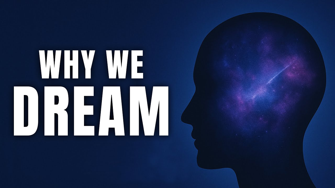 Why Do We Dream? The Greatest Mystery of Science - YouTube