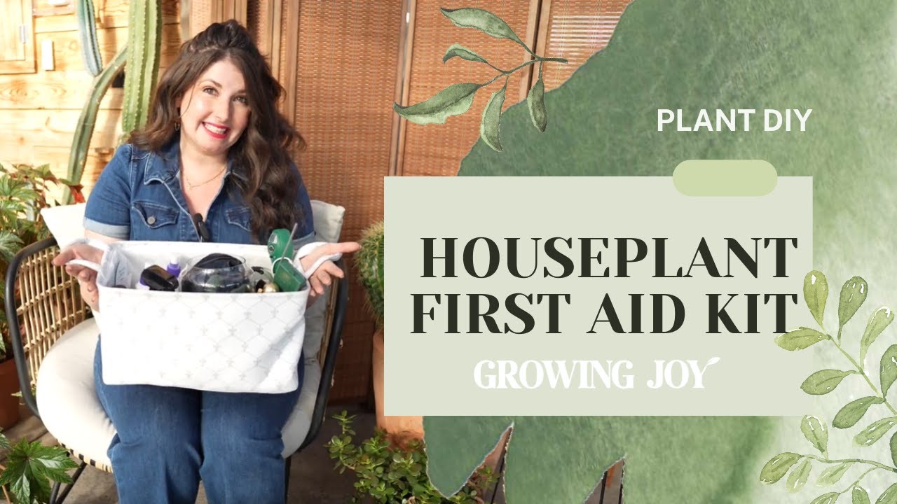 I Made A DIY Houseplant First Aid Kit for Your Worst Case Plant ...