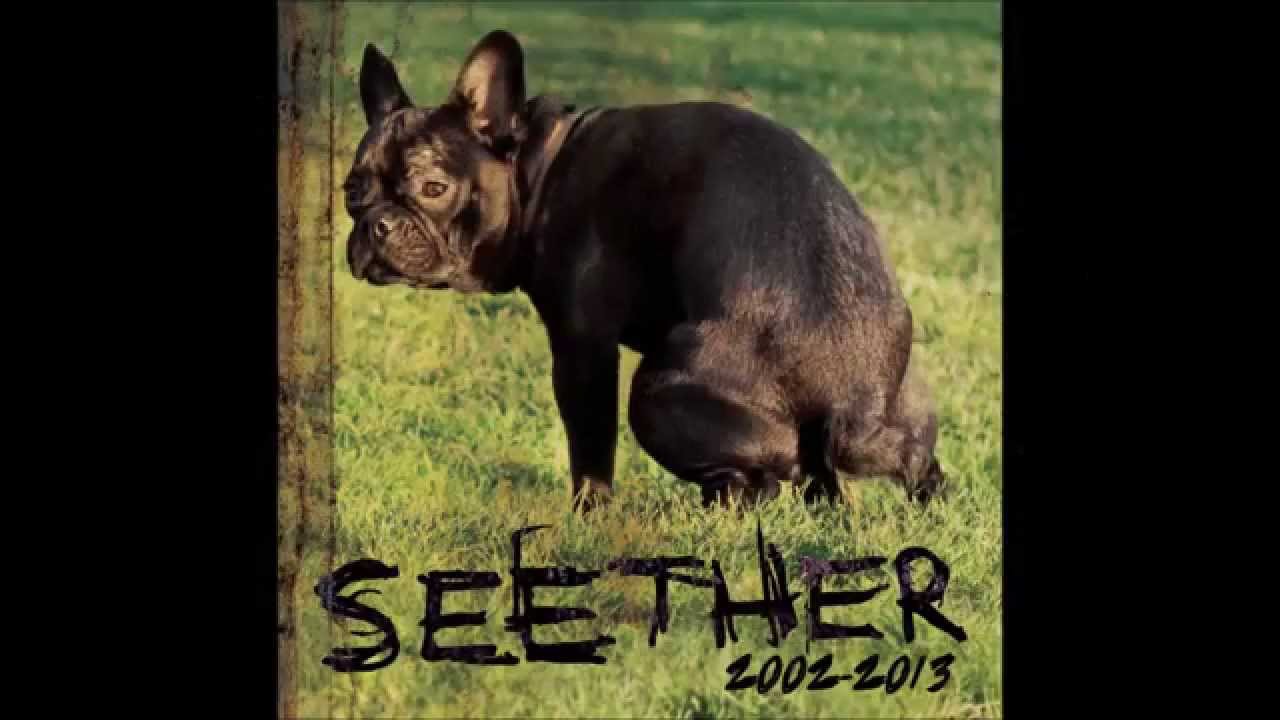 Seether - Seether Lyrics HD - YouTube