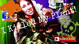 I Killed My Plant! How to Fix a Plant in Shock