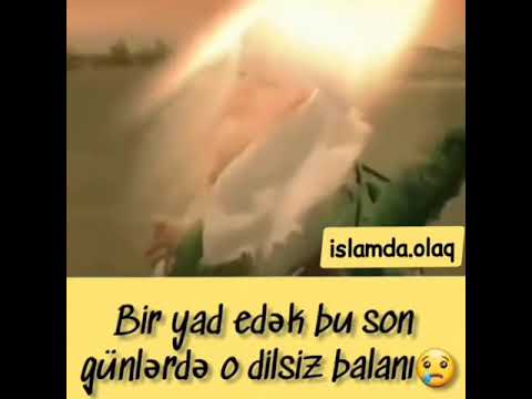 Bir Yad edək bu son günlərdə o dilsiz balanı😢😢