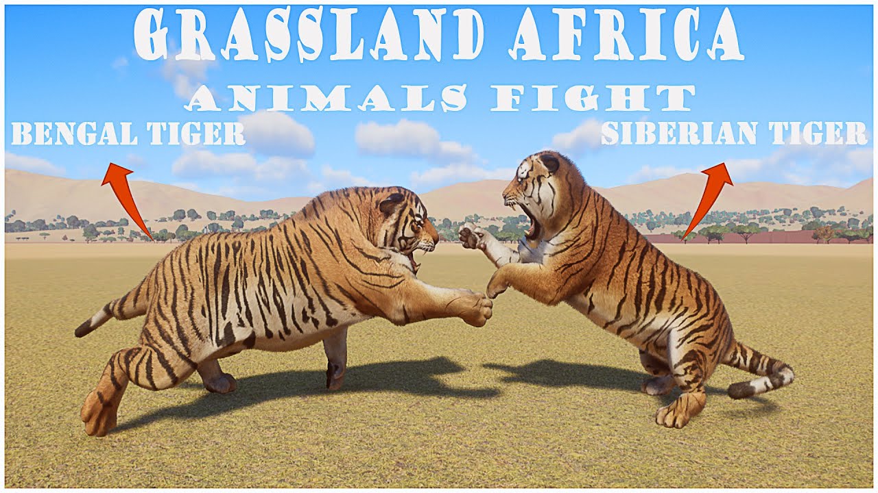 Animals Fight in Planet Zoo - PLANET ZOO | Planet Zoo Animal Fights ...