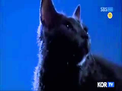 Rooftop Prince Episode 1 part 1 1 sample